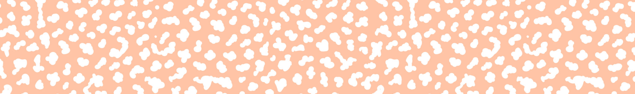 Kontakte, iwaz - Das Sozialunternehmen.